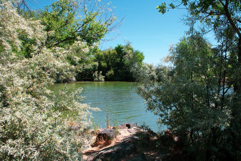 Lake Walcott State Park | State Parks in South Central Idaho
