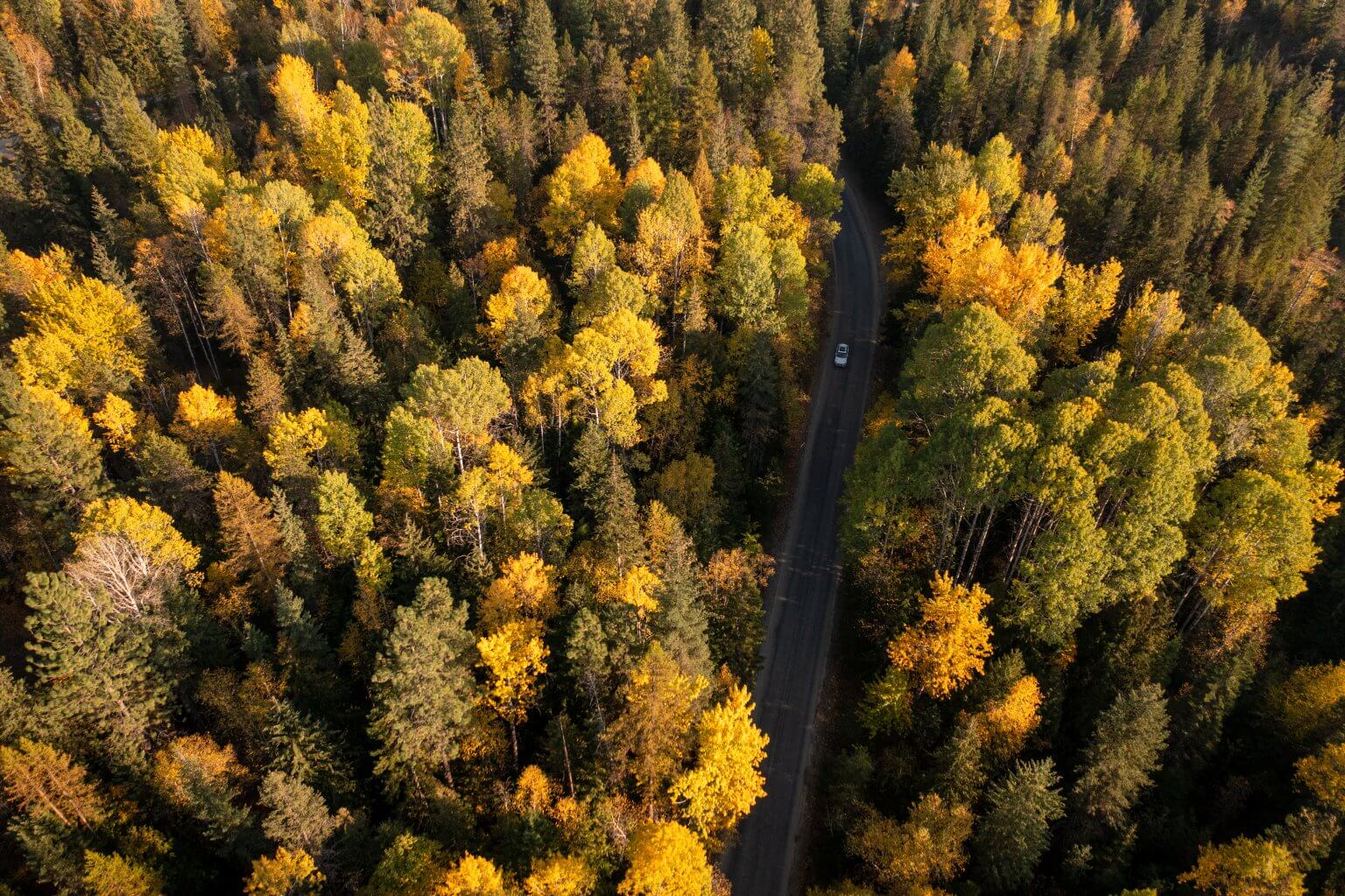 Finding Fall Colors in Sandpoint