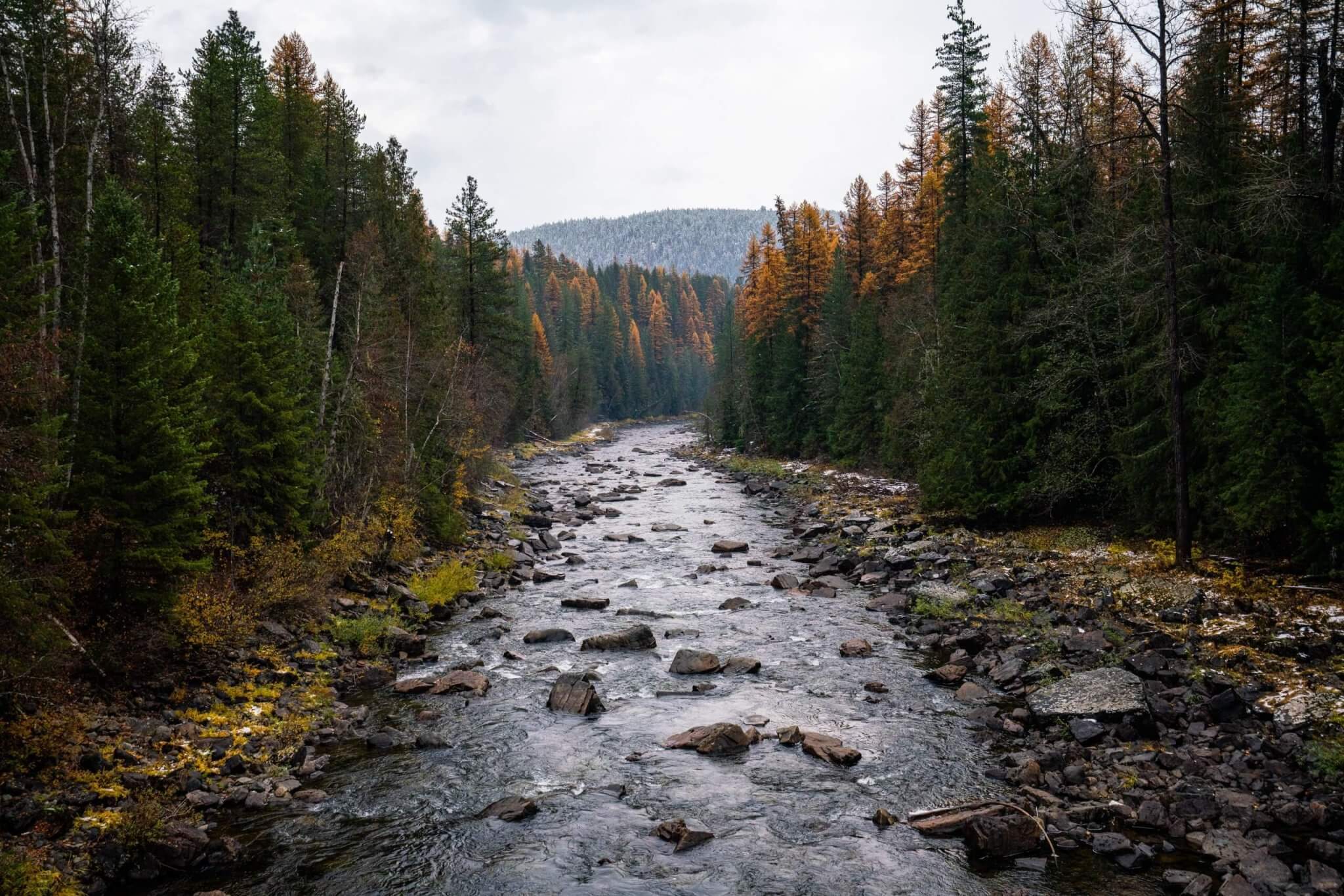 Fall Colors In Idaho