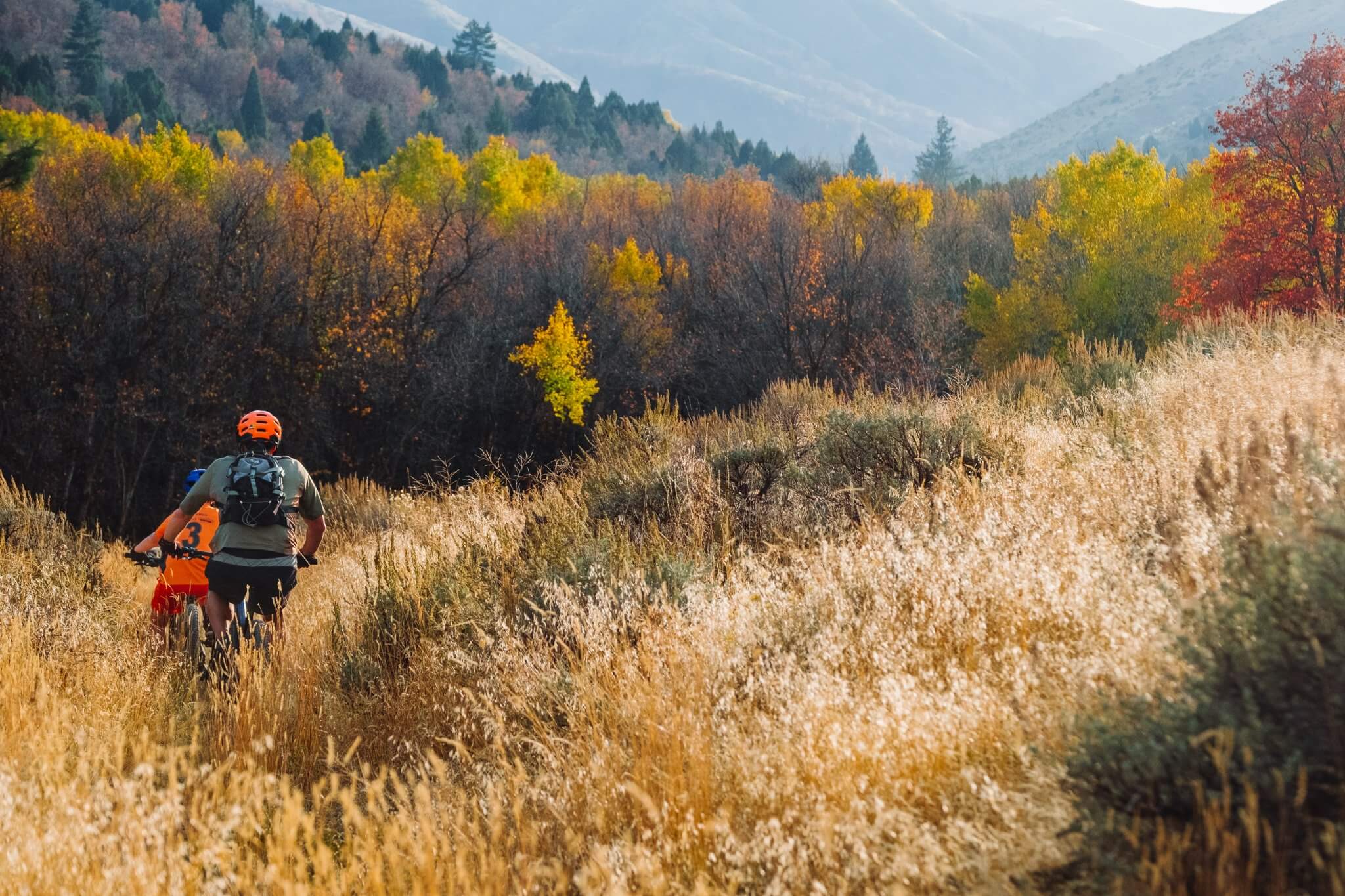 Fall Mountain Biking Spots Around Pocatello