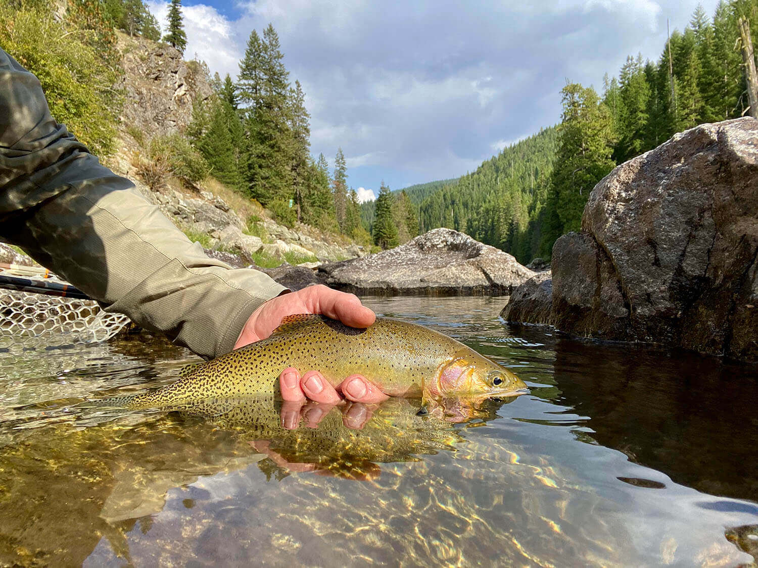 Idaho Fishing: Find Outstanding Fishing in Idaho