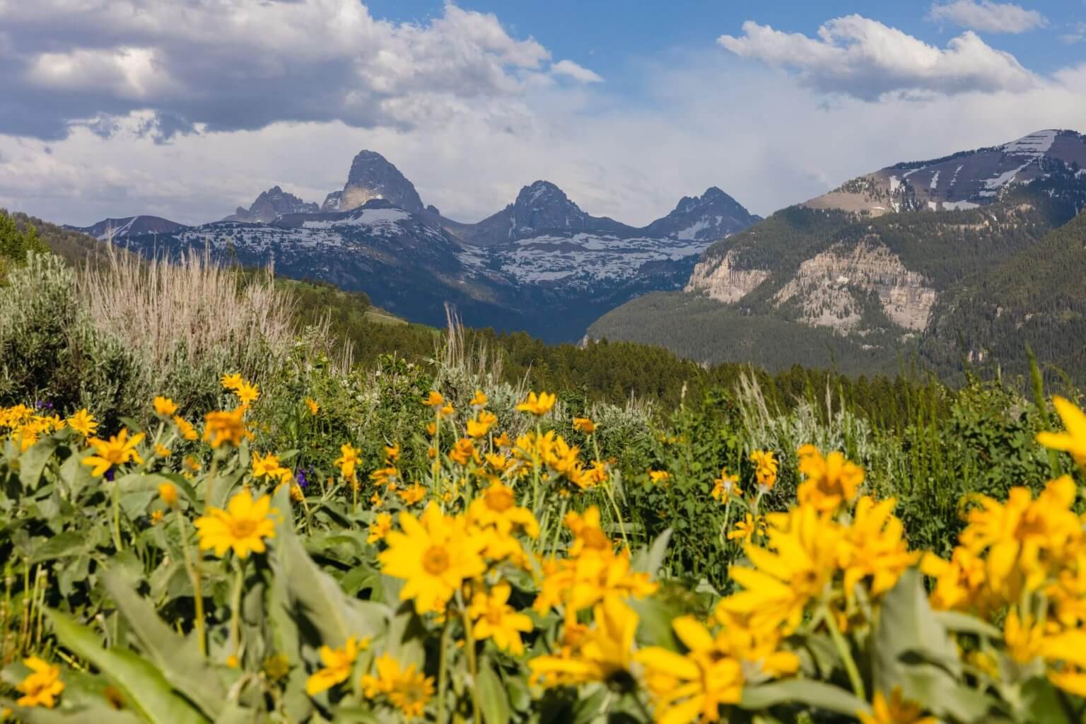 Nothing Like Idaho’s Call of Spring | Vacation in Idaho