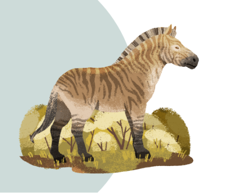 Get to Know the Idaho State Animal, Bird and Other State Symbols