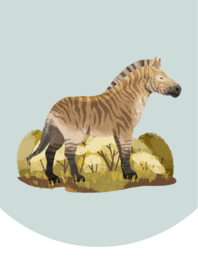 Get to Know the Idaho State Animal, Bird and Other State Symbols