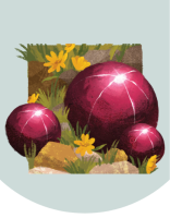 Get to Know the Idaho State Animal, Bird and Other State Symbols