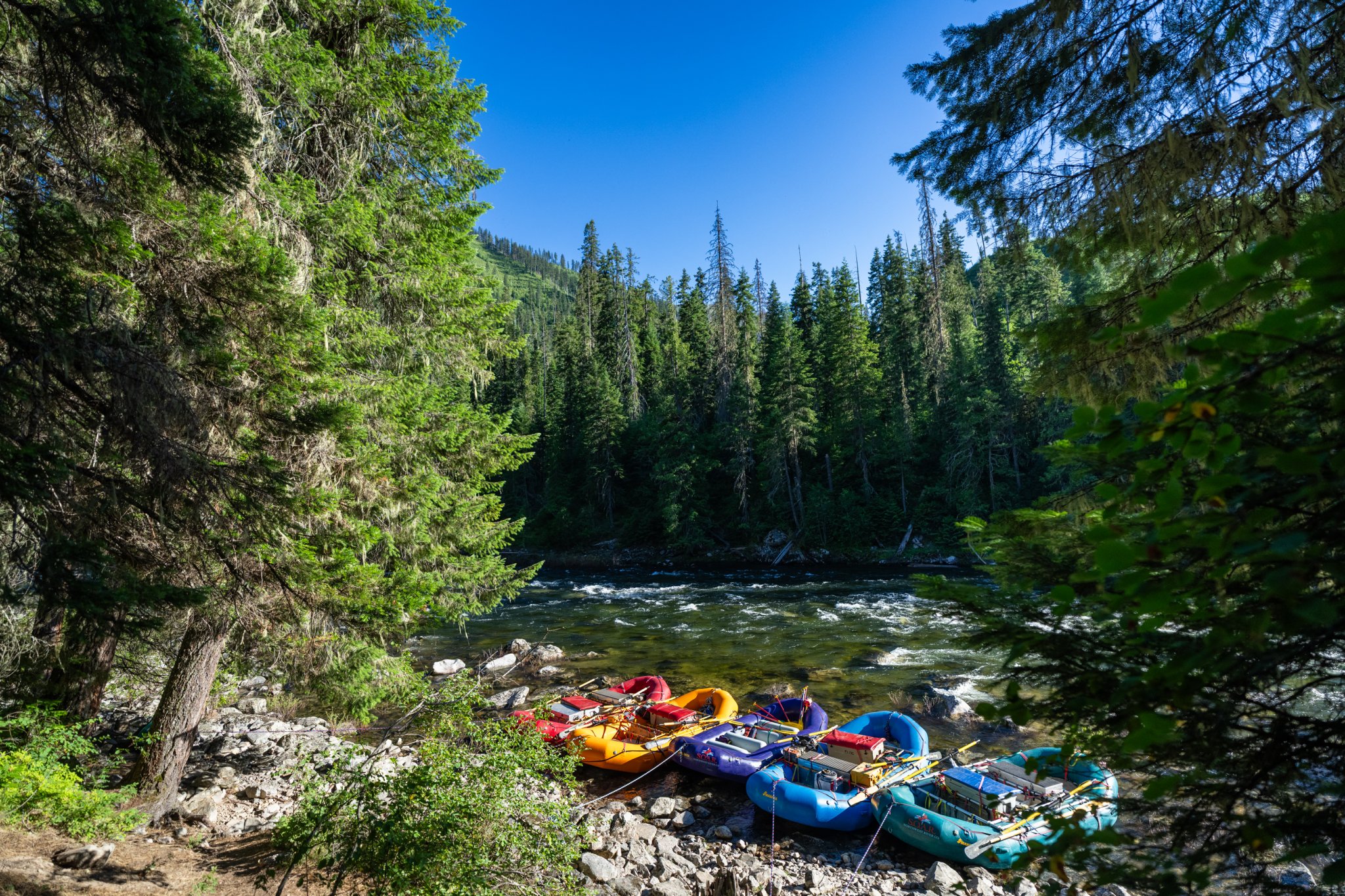Whitewater Rafting & River Trips on the Selway River