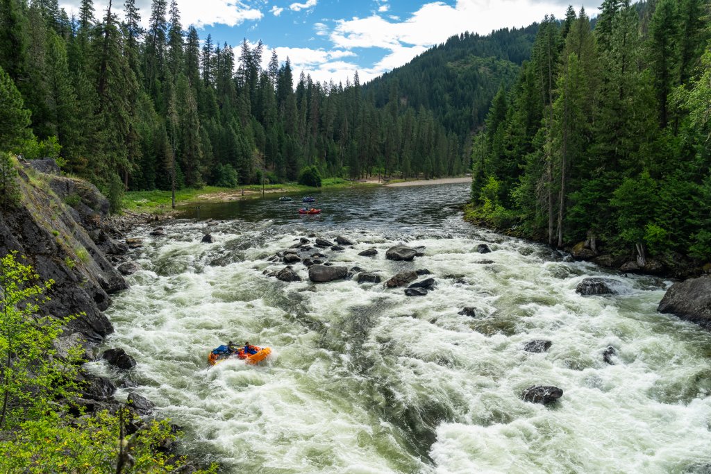 Whitewater Rafting & River Trips on the Selway River