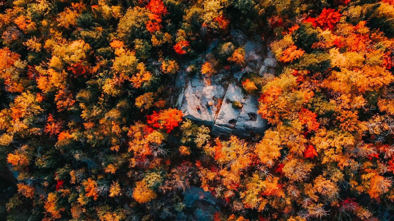 Experience Fall in Idaho and the Best Places for Fall Foliage